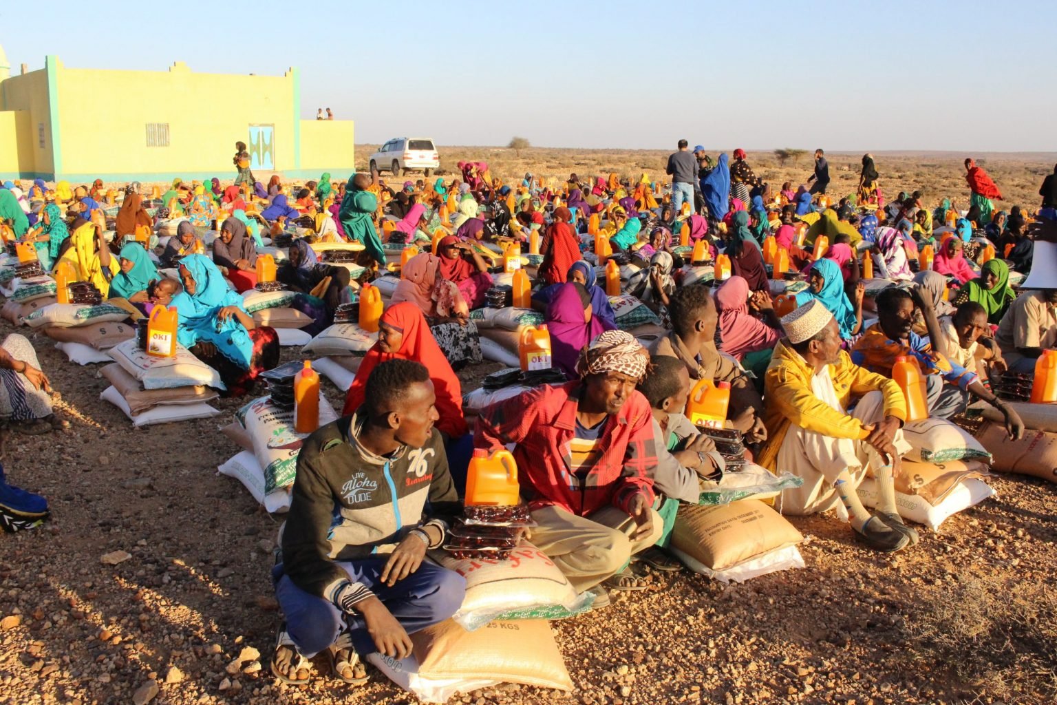 Aid Convoys – African relief Committee